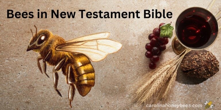 Bees in the Bible: Verses About Bees, Honey, and Meaning- Carolina ...