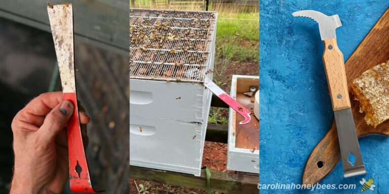 Choosing the Best Hive Tool: A Beekeeper's Guide- Carolina Honeybees