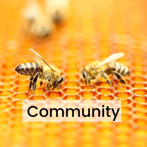 Bees in the Bible: Verses About Bees, Honey, and Meaning- Carolina ...