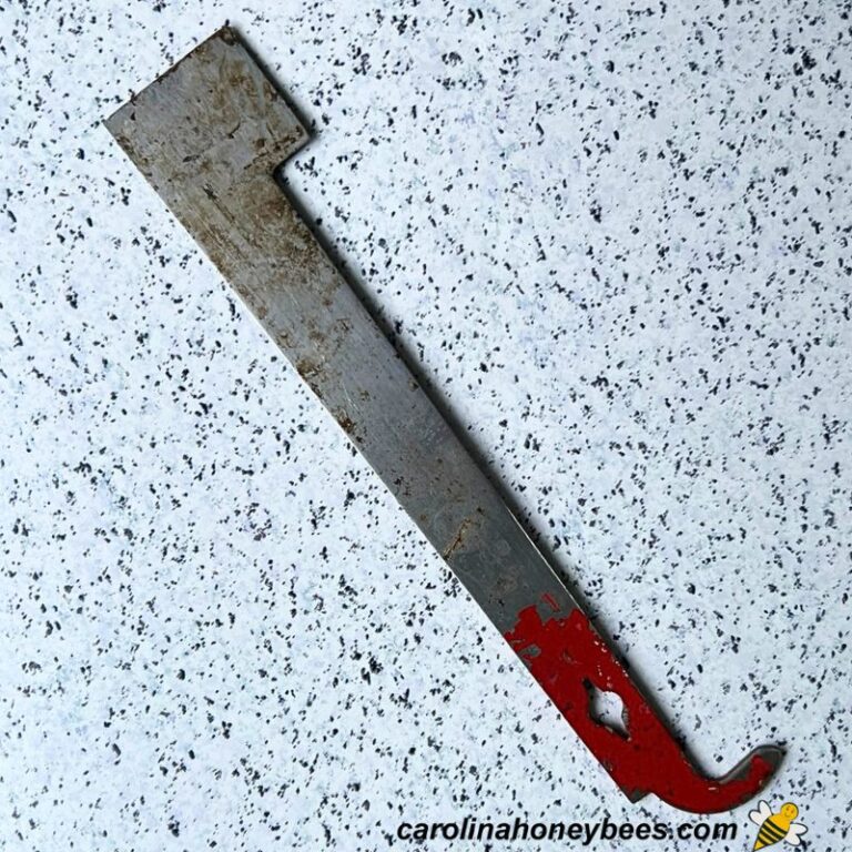 Choosing the Best Hive Tool: A Beekeeper's Guide- Carolina Honeybees