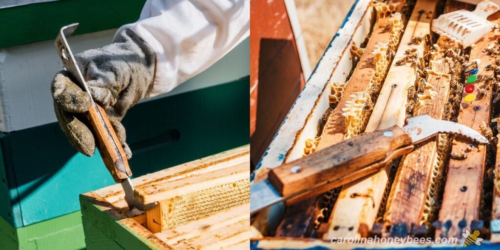 Choosing the Best Hive Tool: A Beekeeper's Guide- Carolina Honeybees