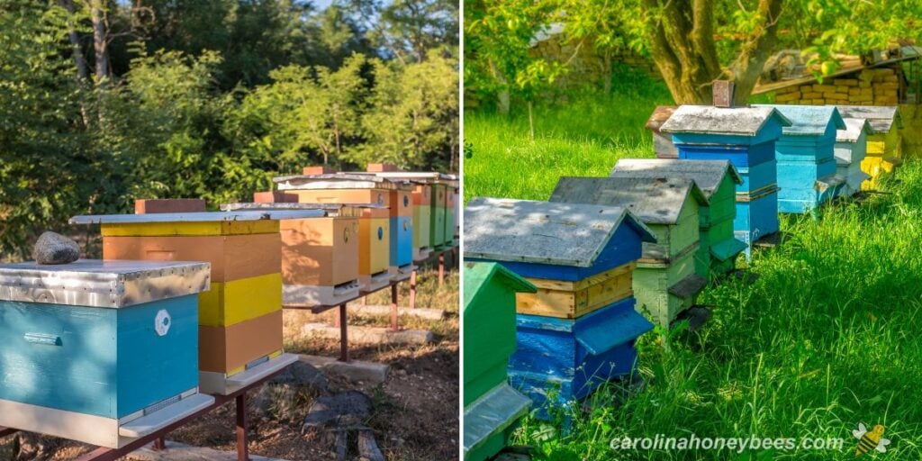 How to Keep Beehives Cooler in the Heat- Carolina Honeybees