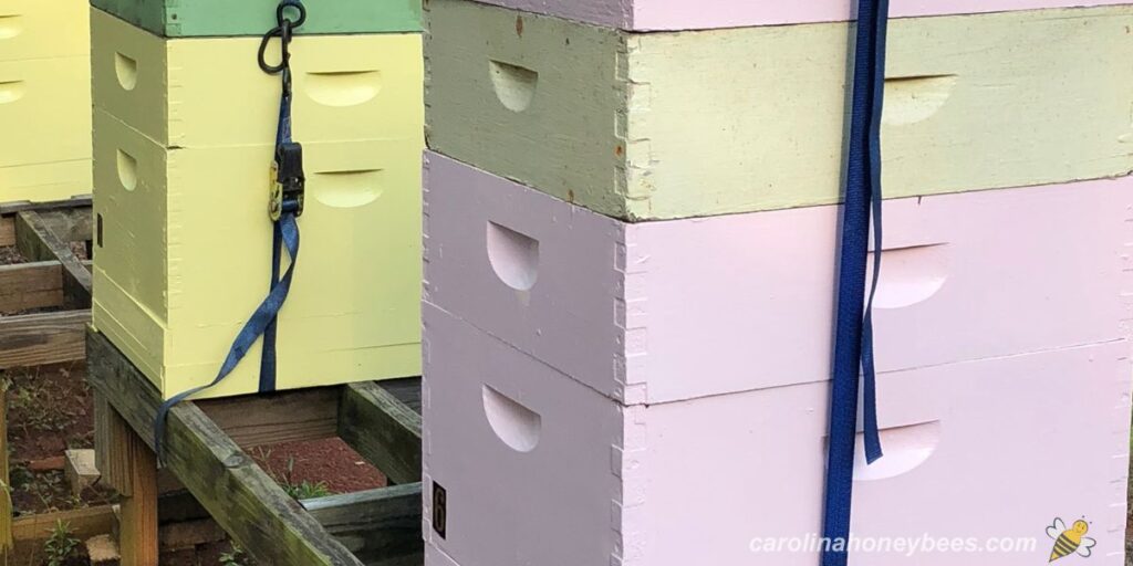 When to Add A Honey Super to Your Hive - Carolina Honeybees