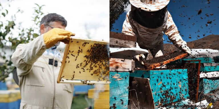 Why are My Honey Bees So Aggressive?- Carolina Honeybees