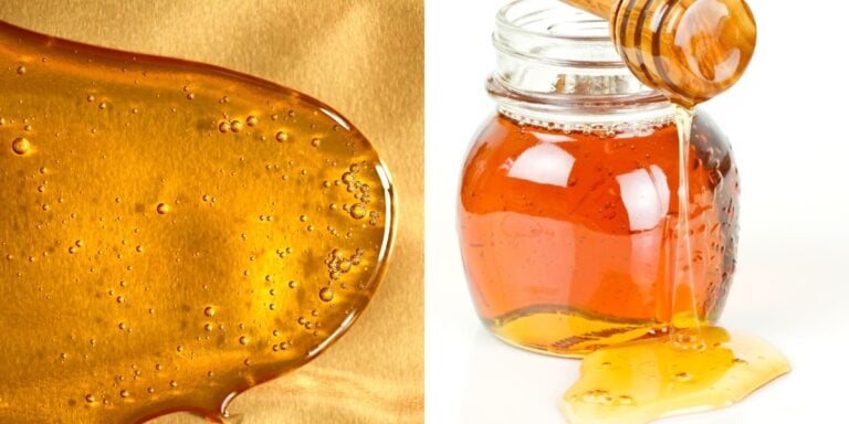 Nectar vs Honey: What’s the Difference and Why It Matters to Bees ...