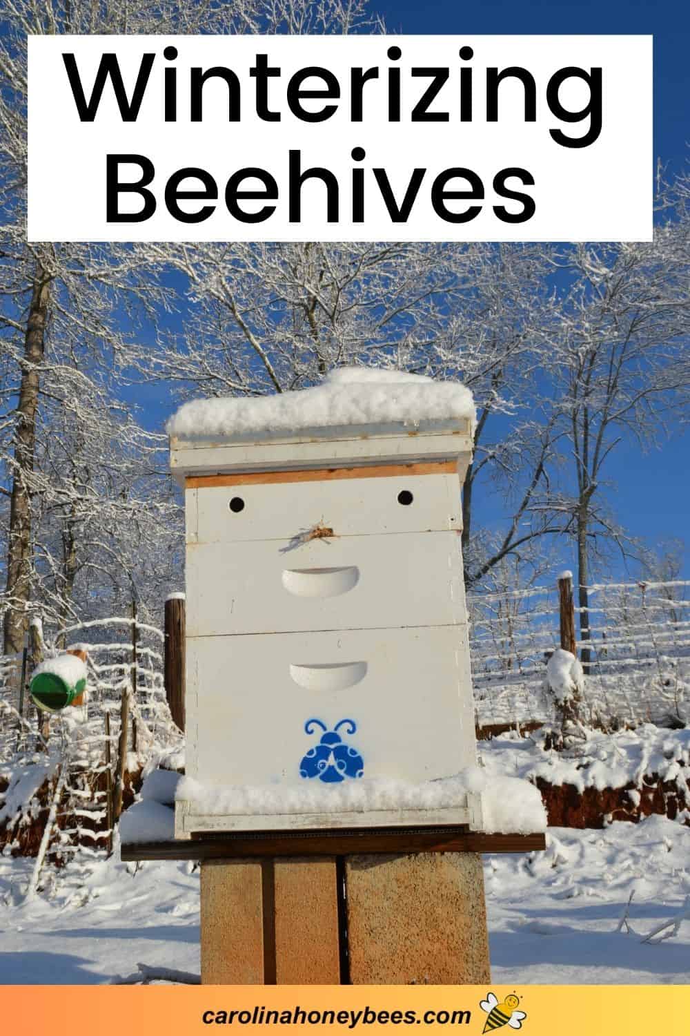 How to Winterize a Beehive {Step by Step}- Carolina Honeybees