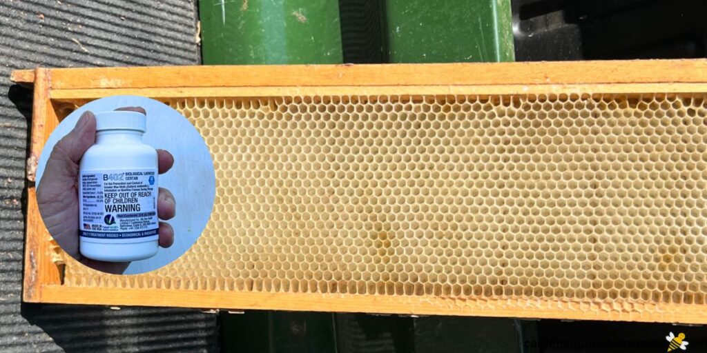 How to Use Certan B402 for Wax Moth Prevention in Beehives- Carolina ...