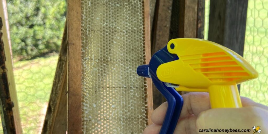How to Use Certan B402 for Wax Moth Prevention in Beehives- Carolina ...