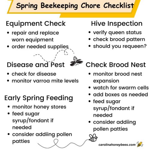 Beekeeping in Spring: How to Prepare Your Hives - Carolina Honeybees