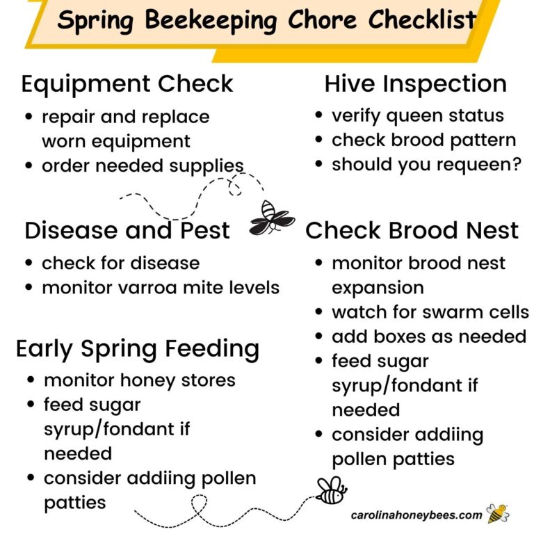 Beekeeping in Spring: How to Prepare Your Hives - Carolina Honeybees