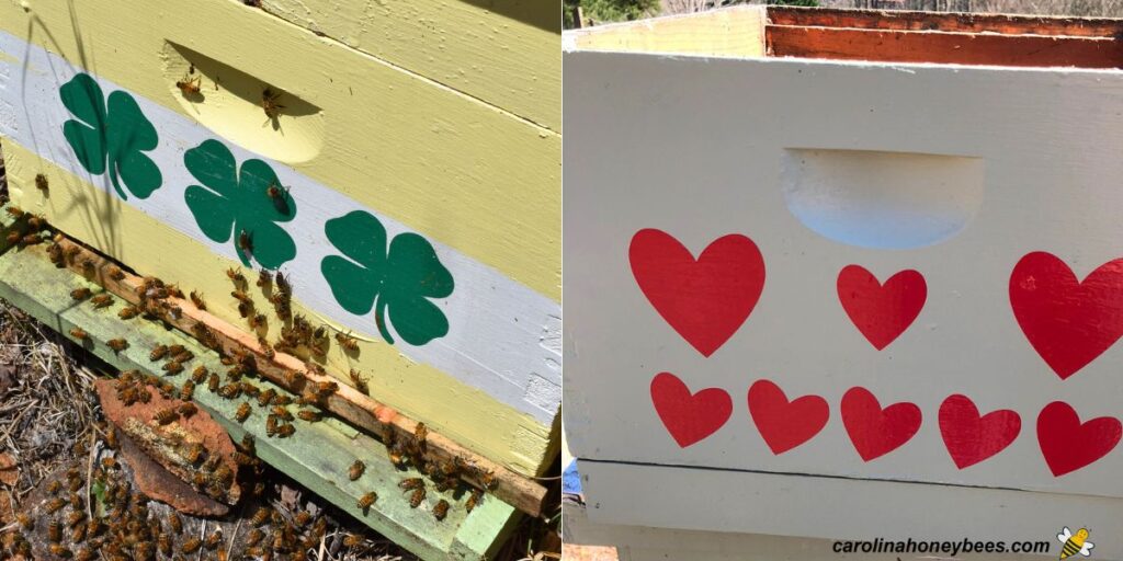 How to Decorate Your Painted Bee Hives- Carolina Honeybees