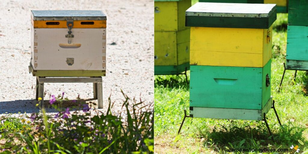 Beehive Stands : How They Help Bees & Beekeepers- Carolina Honeybees