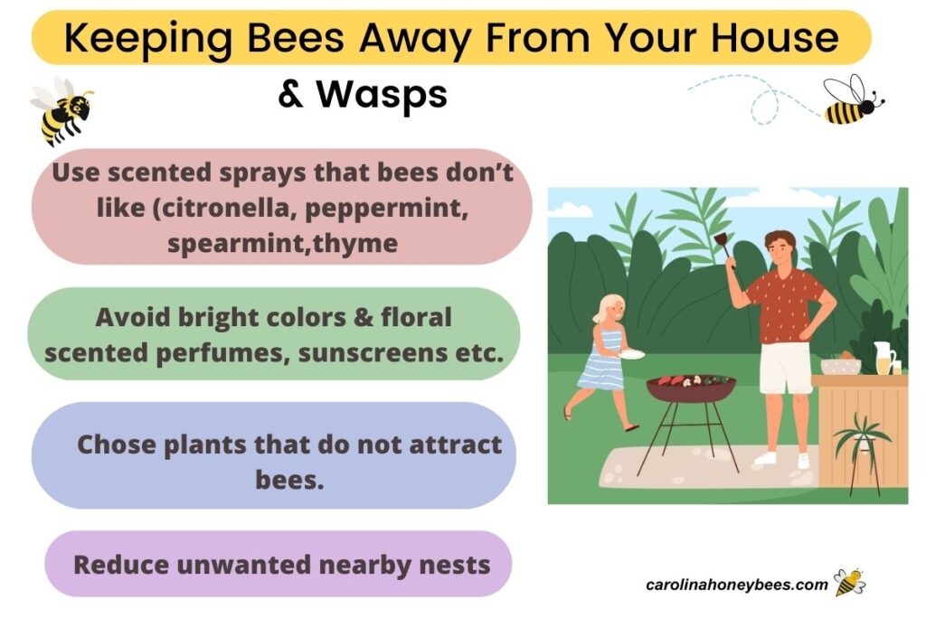 How to Keep Bees Away from Your House - Carolina Honeybees