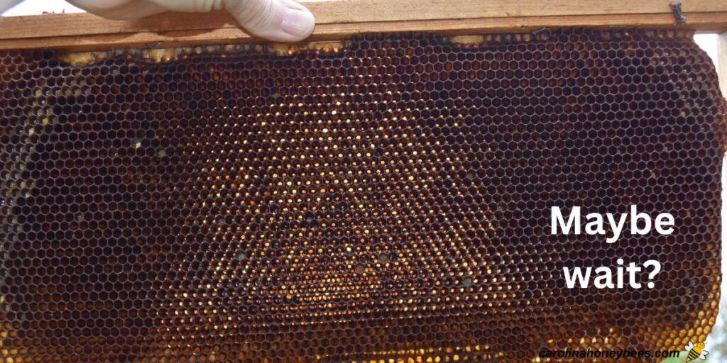 Effective Comb Rotation in Your Beehives- Carolina Honeybees