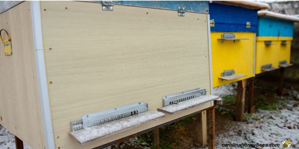 Layens Hive: A Different Approach- Carolina Honeybees