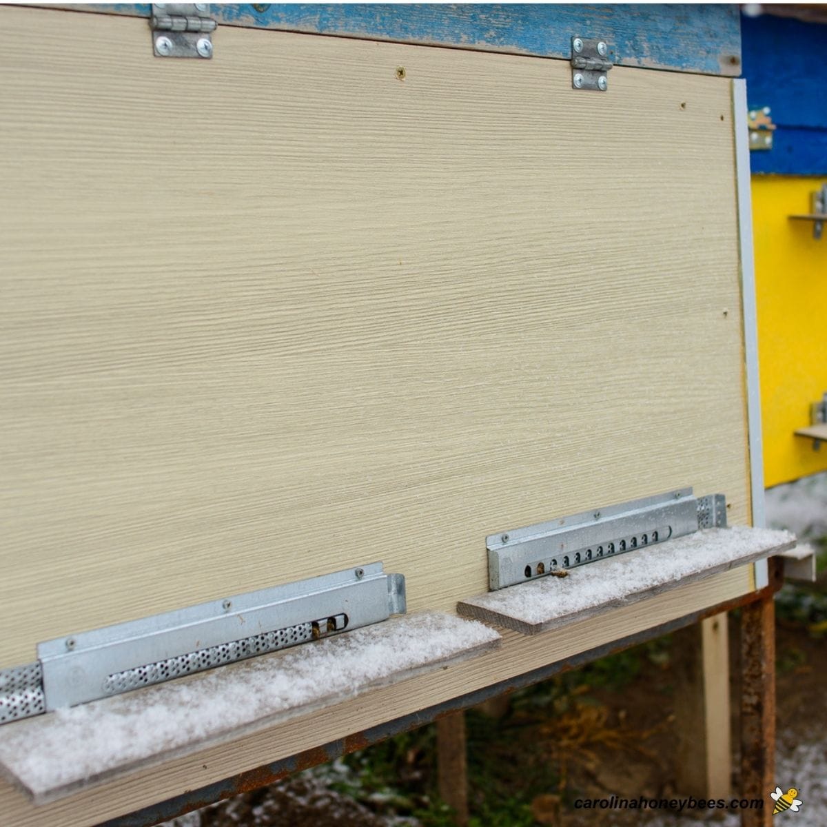 Layens Hive: A Different Approach- Carolina Honeybees