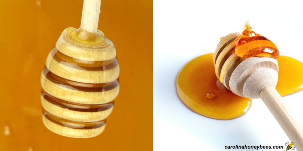 How to Use a Honey Dipper Correctly- Carolina Honeybees