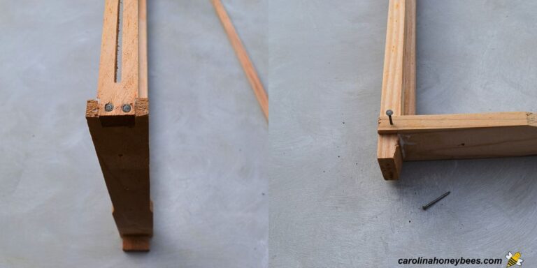 How to Assemble Bee Frames - Carolina Honeybees