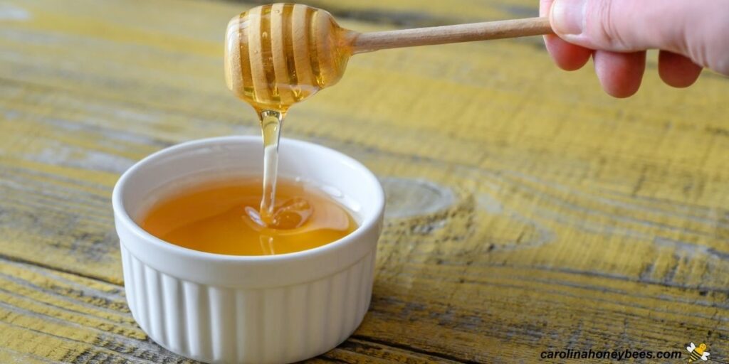 How to Use a Honey Dipper Correctly- Carolina Honeybees