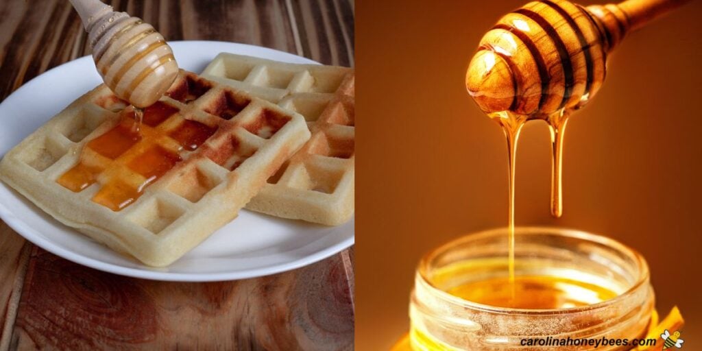 How to Use a Honey Dipper Correctly- Carolina Honeybees