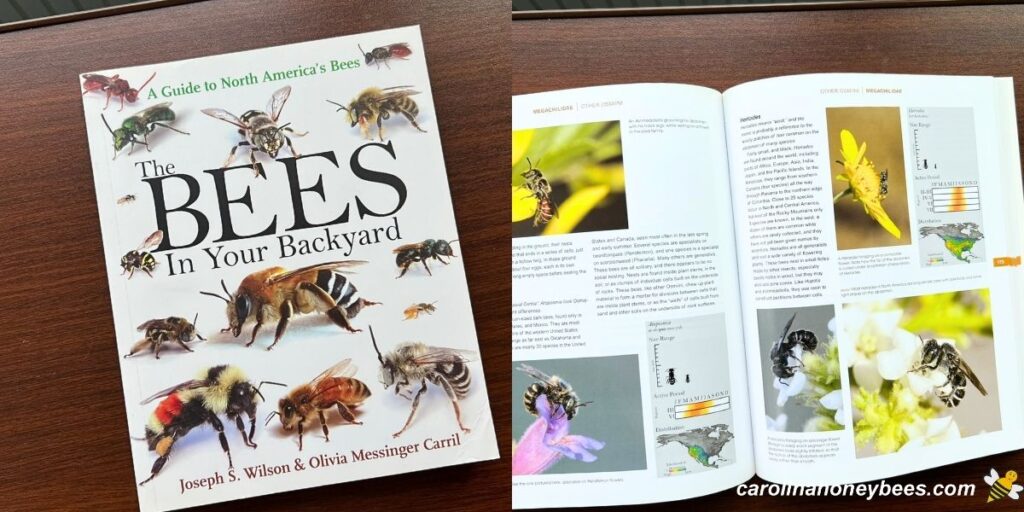 Beekeeping Books for Beginners and Beyond - Carolina Honeybees