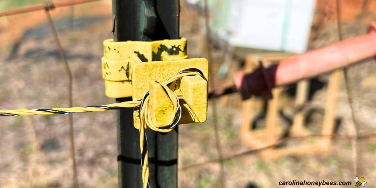 How to Build an Electric Bear Fence - Carolina Honeybees