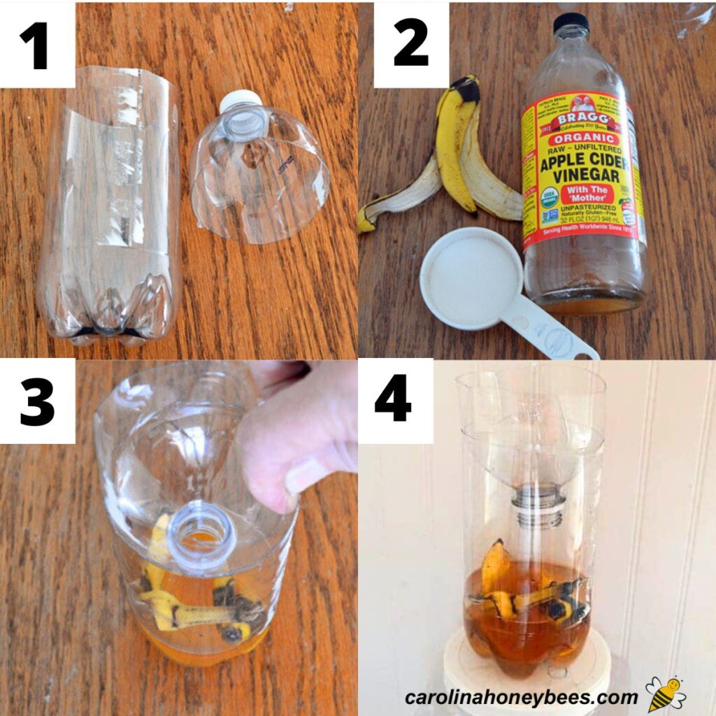 Yellow Jacket Trap: Easy DIY Wasp Trap - Carolina Honeybees