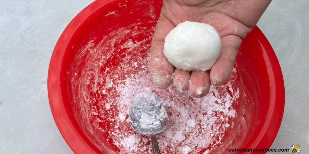 How to Make Queen Candy: Beekeepers Guide - Carolina Honeybees