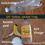 Yellow Jacket Trap: Easy DIY Wasp Trap - Carolina Honeybees