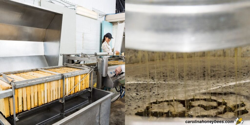 Filtering Honey for Home Beekeepers - Carolina Honeybees