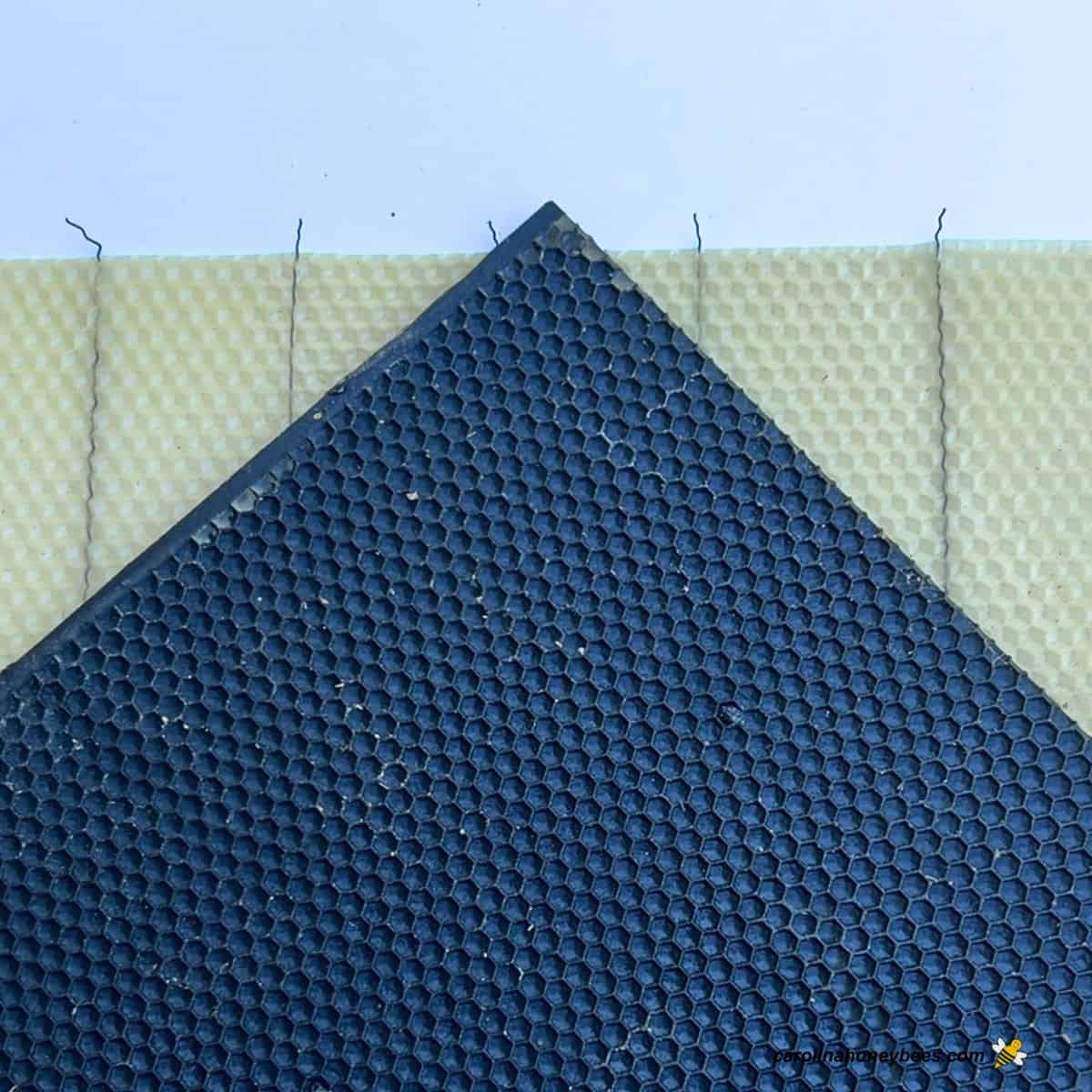 Choosing Beehive Foundation: Wax or Plastic?- Carolina Honeybees