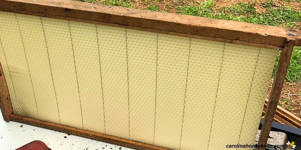 Choosing Beehive Foundation: Wax or Plastic?- Carolina Honeybees