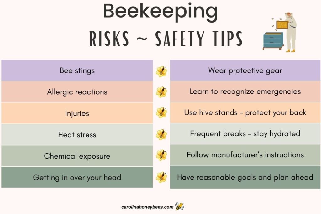 Beekeeping Safety Guidelines For Beginners- Carolina Honeybees