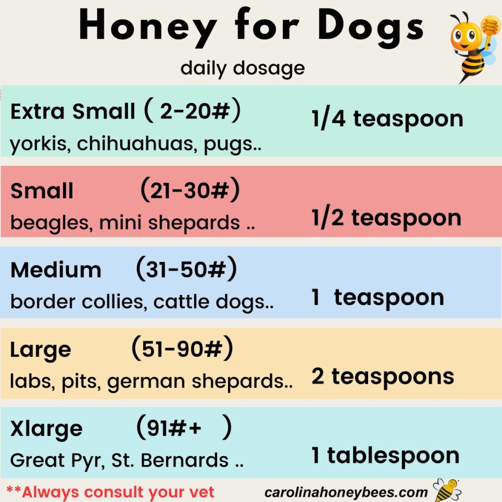 Can You Give Honey to Dogs?- Carolina Honeybees