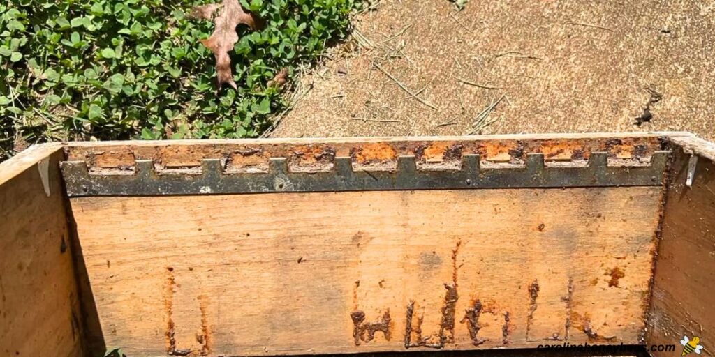 How to use Frame Spacers in Your Beehive- Carolina Honeybees