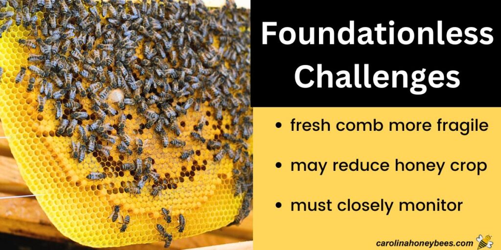 The Practice of Foundationless Beekeeping- Carolina Honeybees