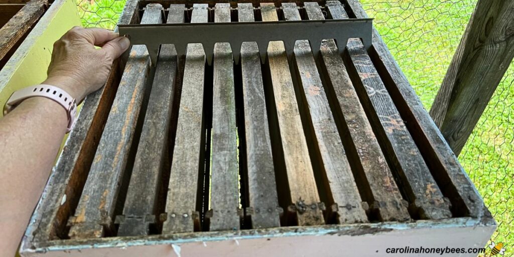 How to use Frame Spacers in Your Beehive- Carolina Honeybees