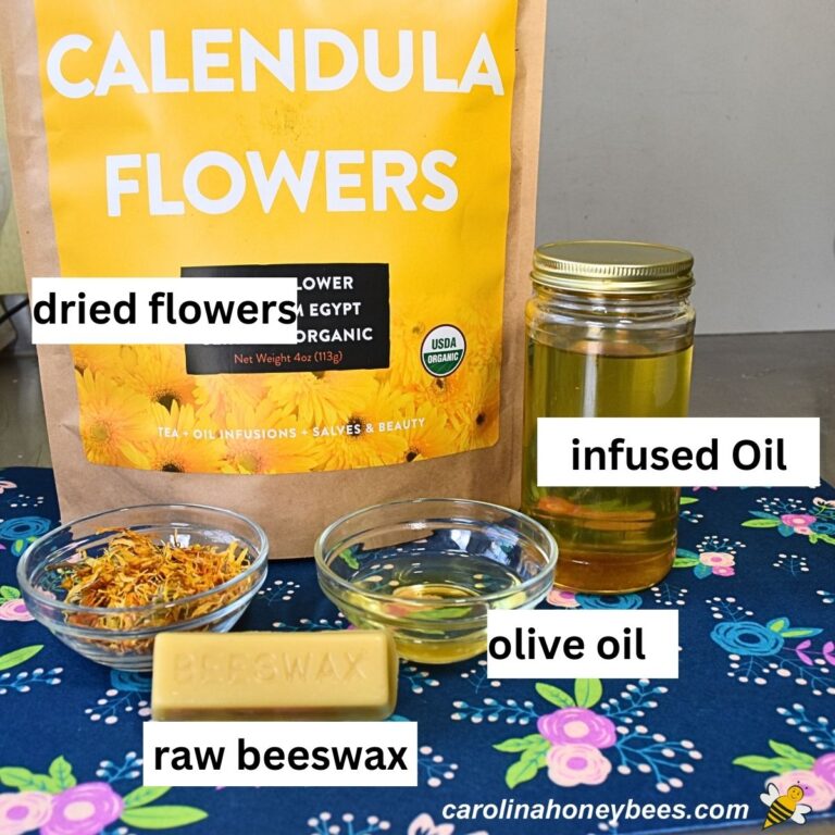 How to Make Calendula Salve - Carolina Honeybees