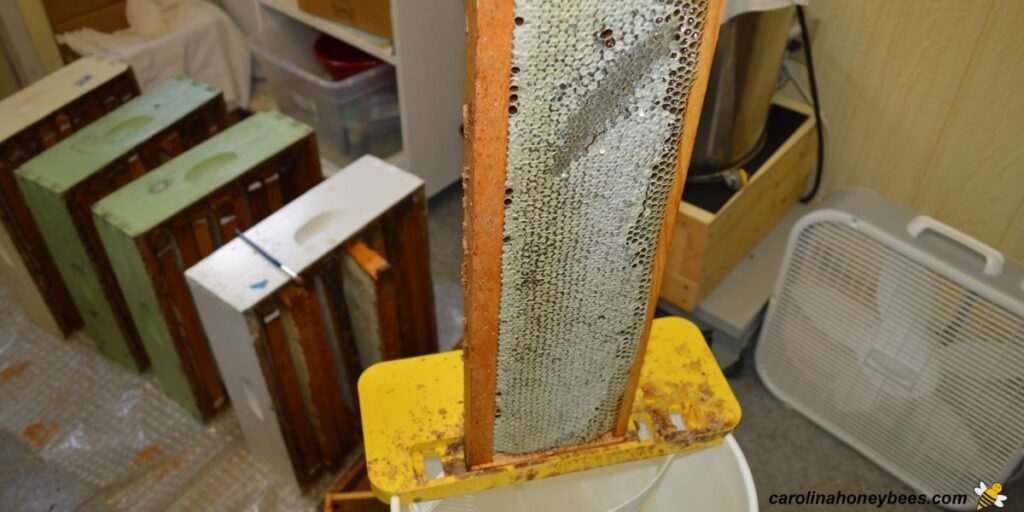 What is a Honey House? Do you Need one?- Carolina Honeybees