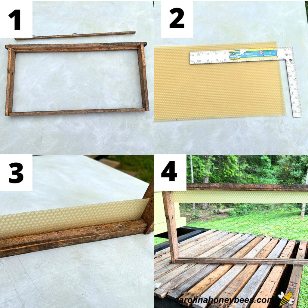 The Practice of Foundationless Beekeeping- Carolina Honeybees