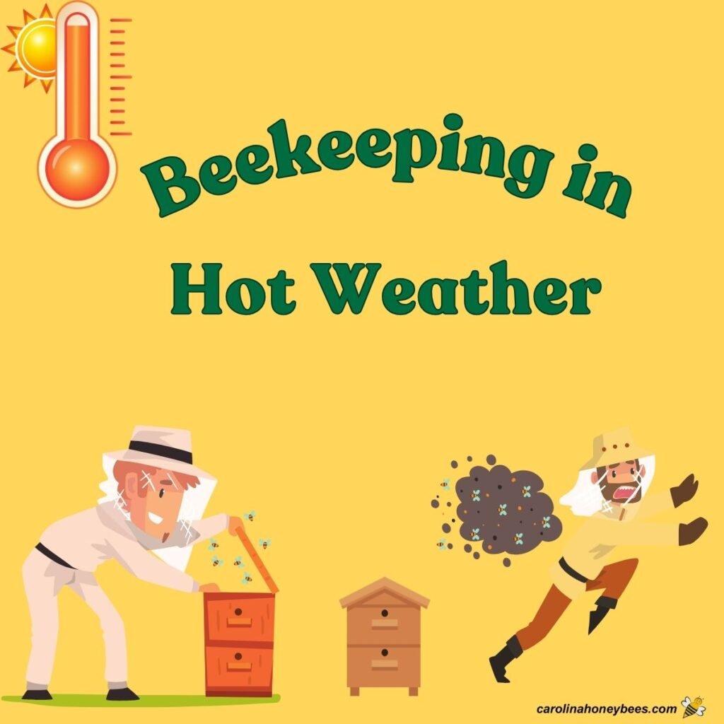 Beekeeping Blog - Carolina Honeybees