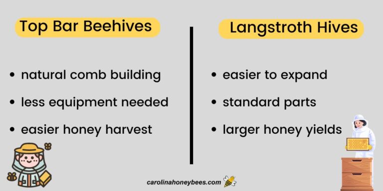 Top Bar Hives: A Beginner's Guide - Carolina Honeybees