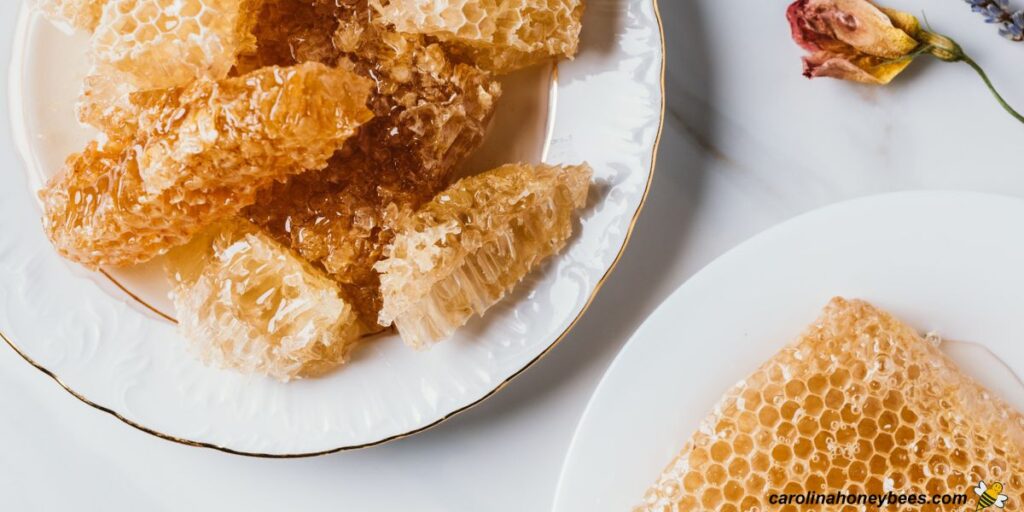 How to Eat Honeycomb: Perfect Food Pairings - Carolina Honeybees