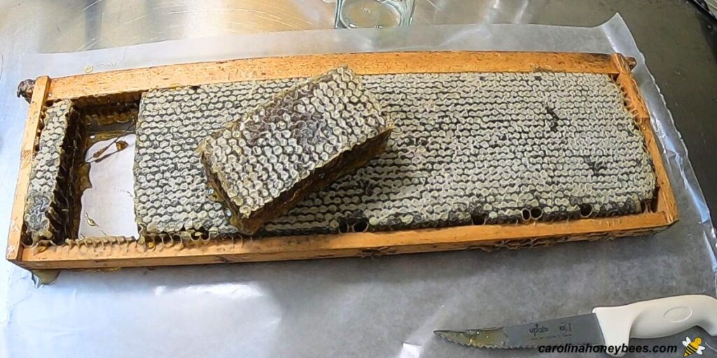 How to Eat Honeycomb: Perfect Food Pairings - Carolina Honeybees