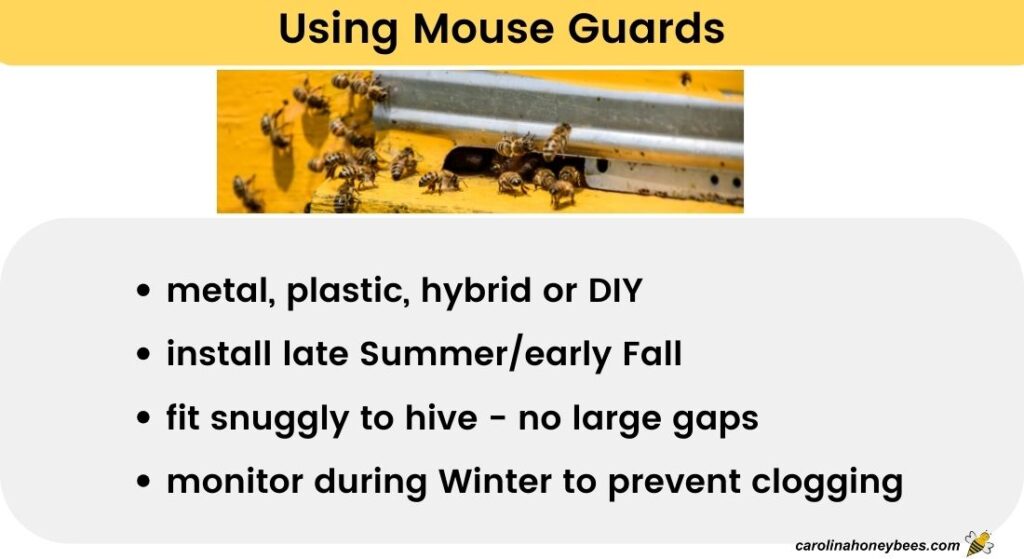 A Guide to Mouse Guards for Beehives- Carolina Honeybees