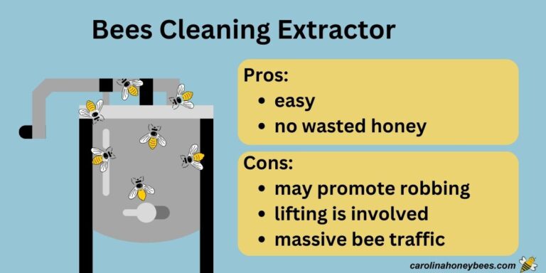 How to Clean a Honey Extractor - Carolina Honeybees