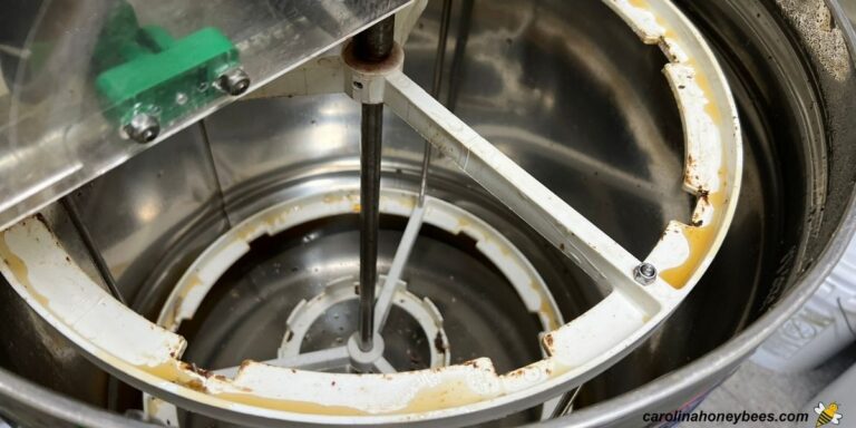 How to Clean a Honey Extractor - Carolina Honeybees