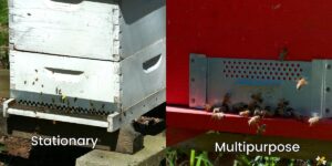 A Guide to Mouse Guards for Beehives- Carolina Honeybees