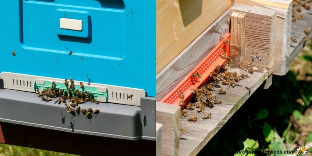 A Guide to Mouse Guards for Beehives- Carolina Honeybees