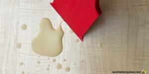 How To Remove Beeswax Without Damaging Surfaces Carolina Honeybees